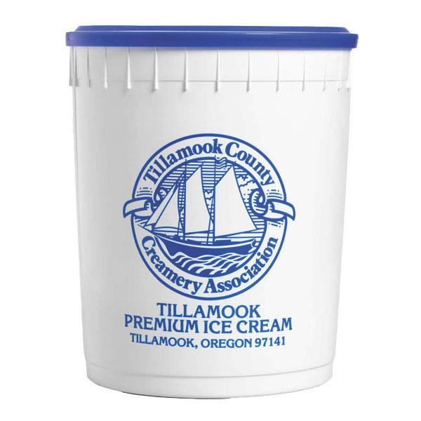 TILLAMOOK ICE CREAM MINT CHOCOLATE CHIP - US Foods CHEF'STORE